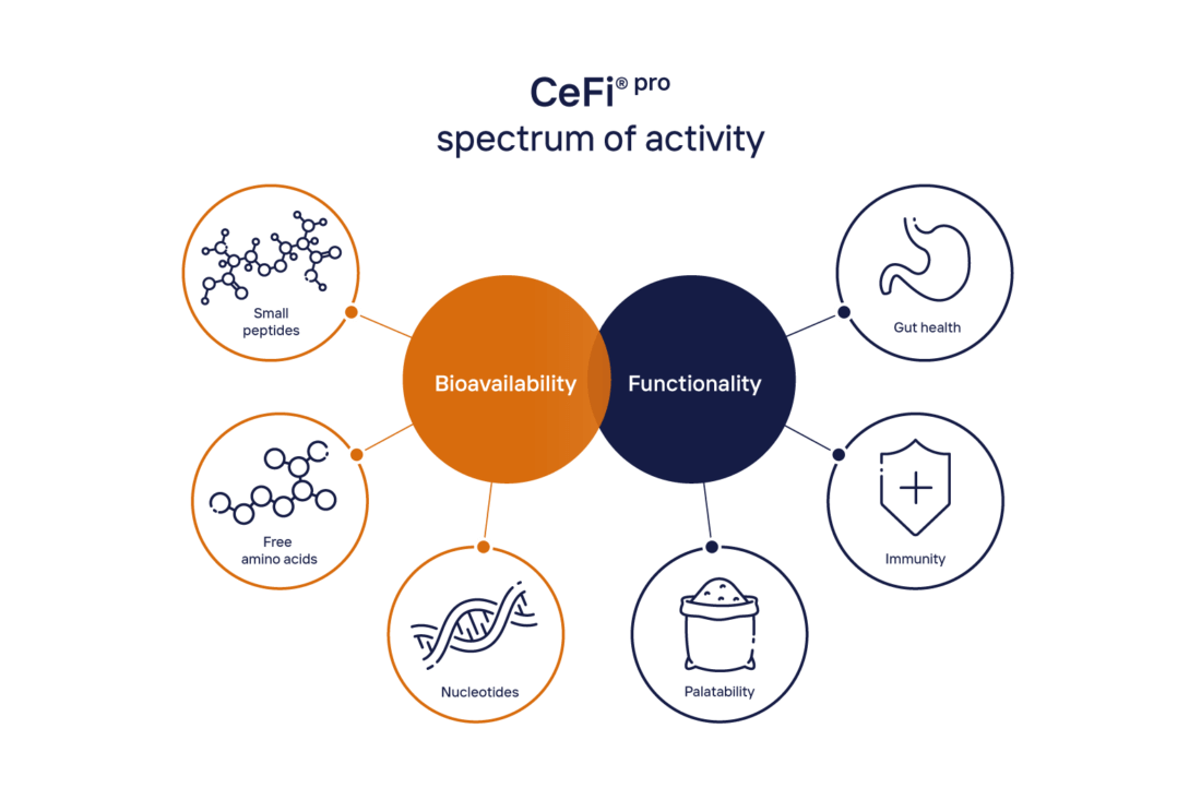 Aquaculture Products & Functions | Leiber GmbH