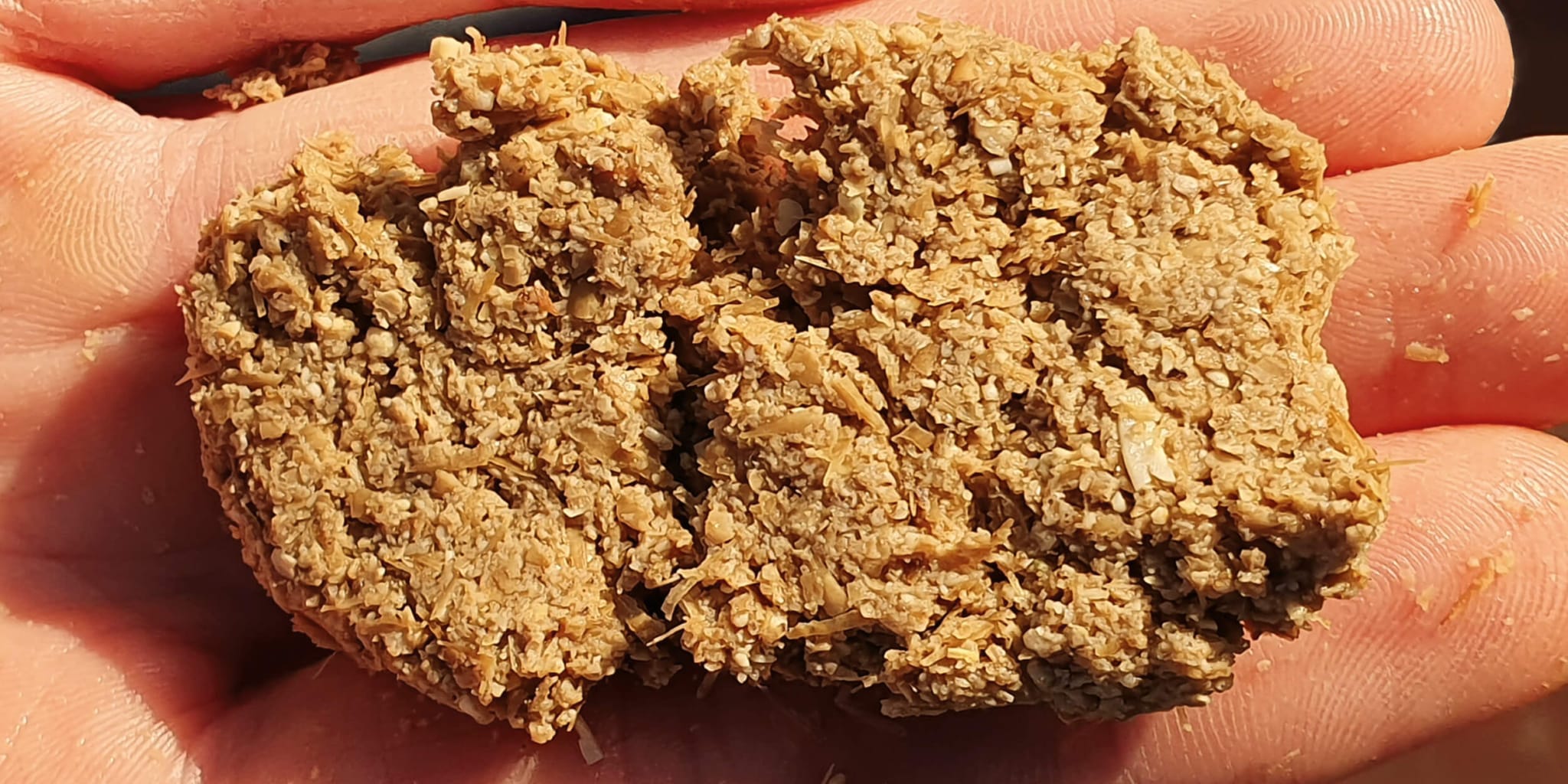 Veredelung von Bierhefe - Leiber | Excellence in Yeast